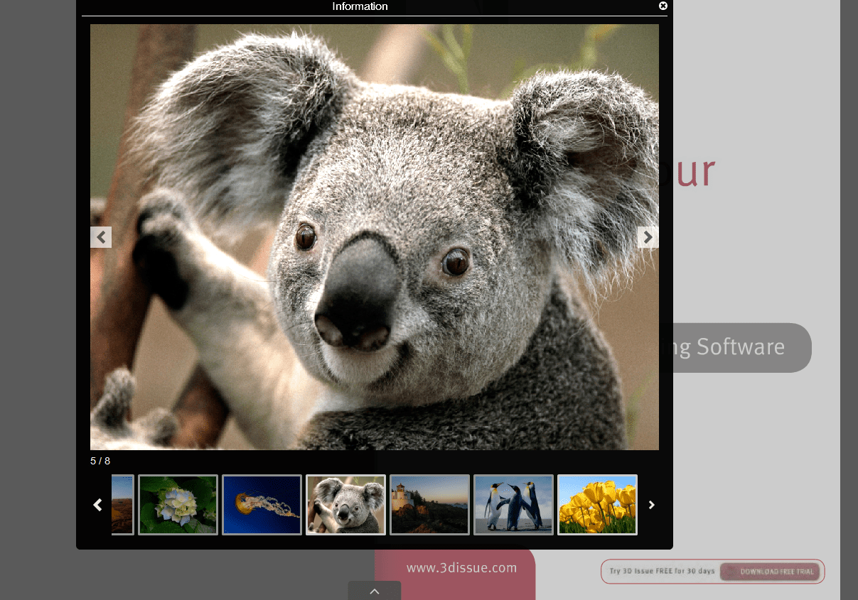10 Inspirational eMagazine Design Ideas